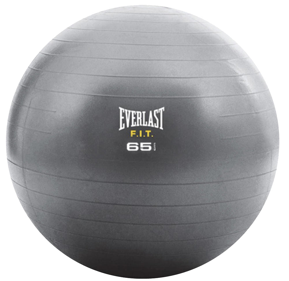 Buy Core Strength Ball 65cm | Everlast Australia